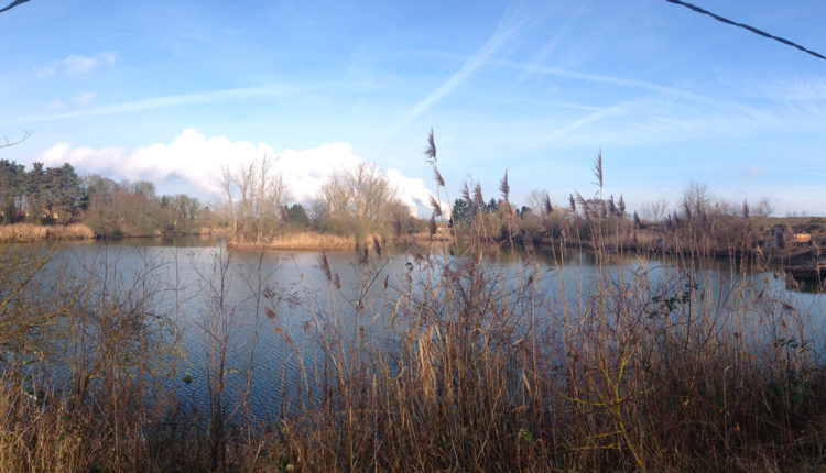 Base de loisirs de Basse Ham - Appel à Manifestation d'intérêts