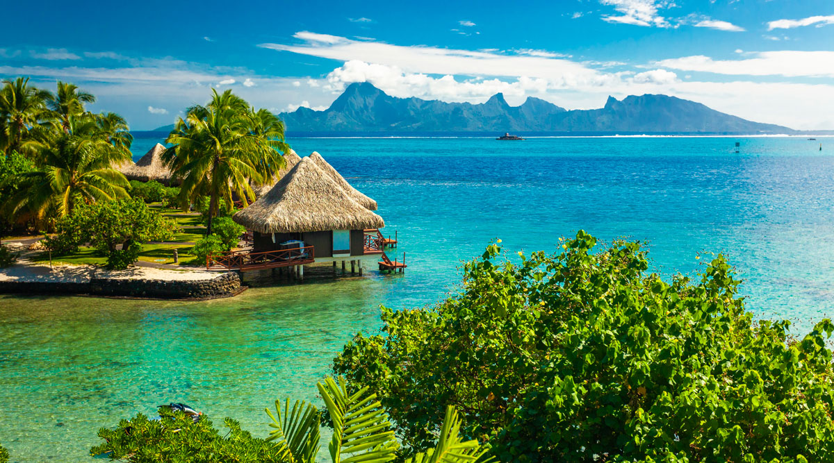 Palmarès des voyagistes : zoom sur l'Océanie