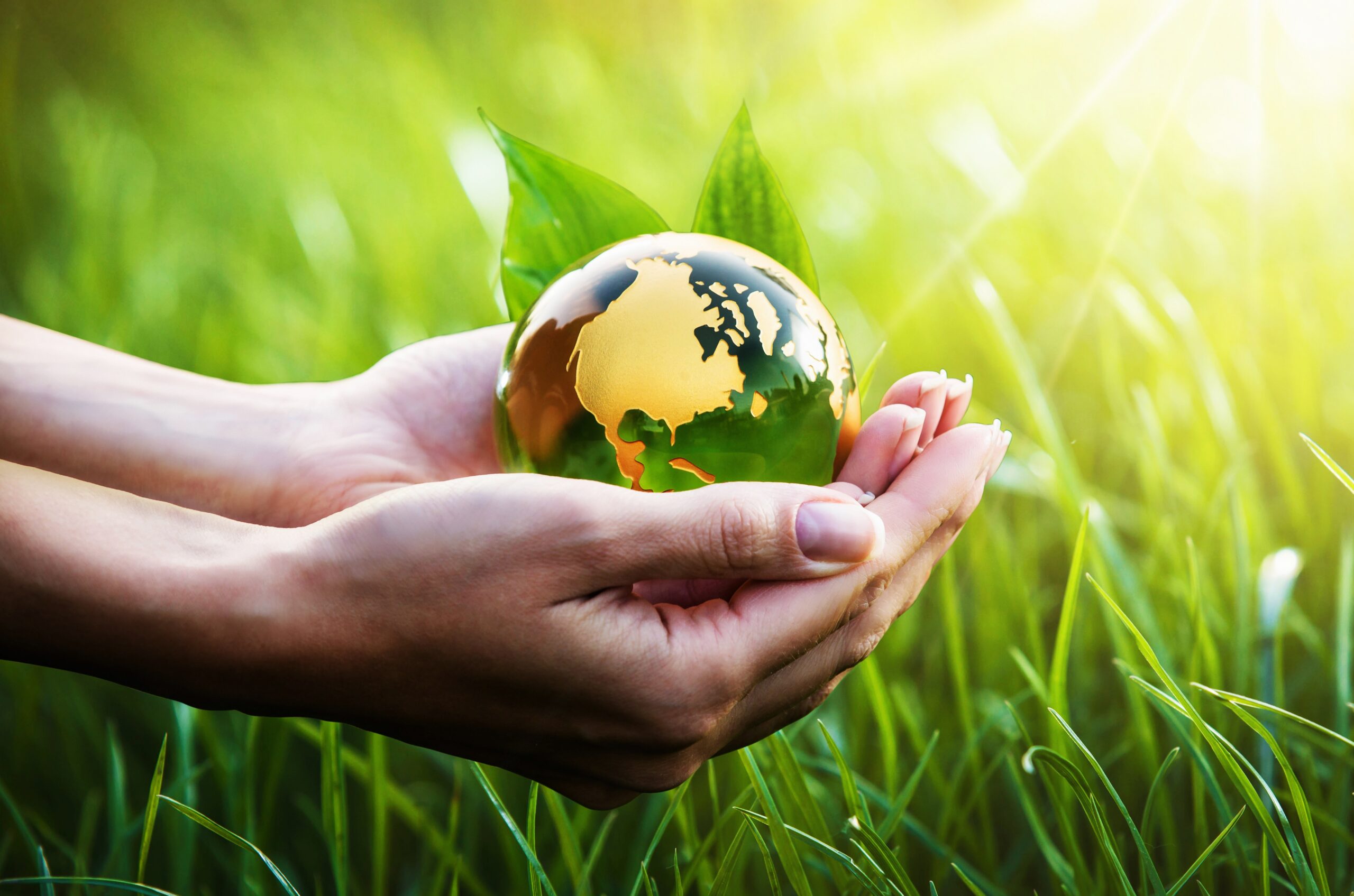 RSE : une nouvelle association, présidée par Claire Gagnaire