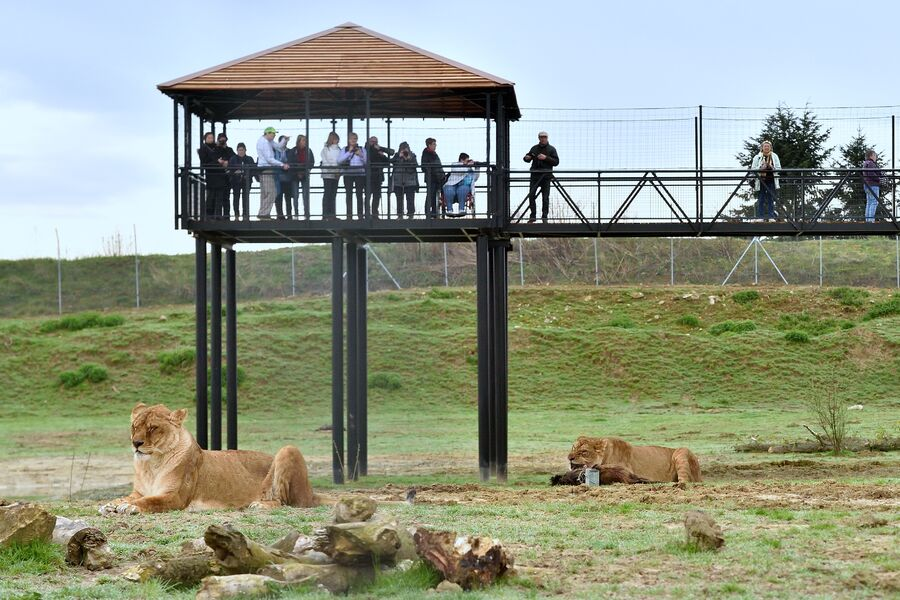 Les 10 plus beaux parcs zoologiques de France