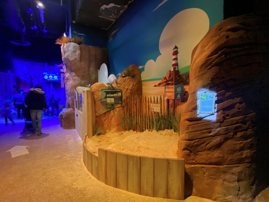 Un nouvel espace autour des marées à Sea Life Paris Val d'Europe