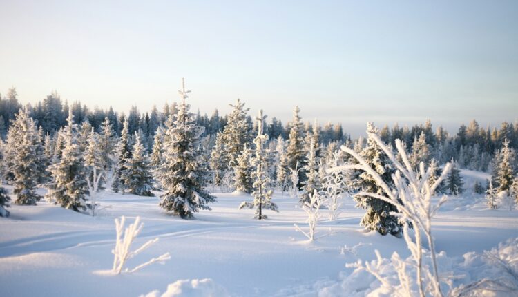 Kittilä - Toute l'actu de l'agence de tourisme - L'Echo Touristique